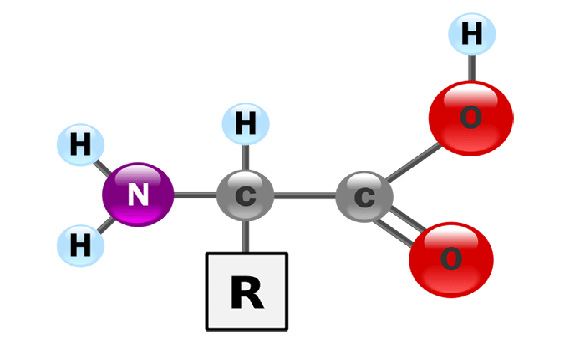 Amino Acid Extraction Process - Tiei liquid/liquid mixing and ...